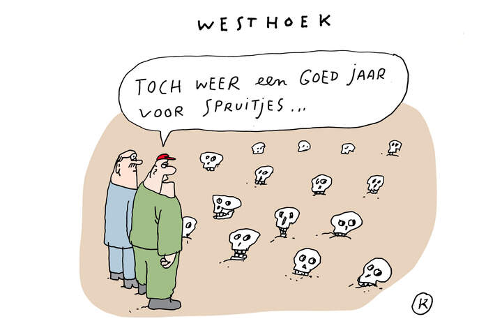 Kama | De Standaard