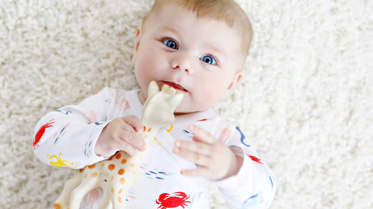 Onderzoek naar iconisch en “typisch Frans” babyspeeltje na onthulling ...