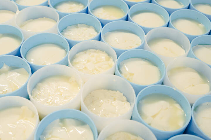 Er is amper nog echte camembert te vinden in Camembert | De Standaard