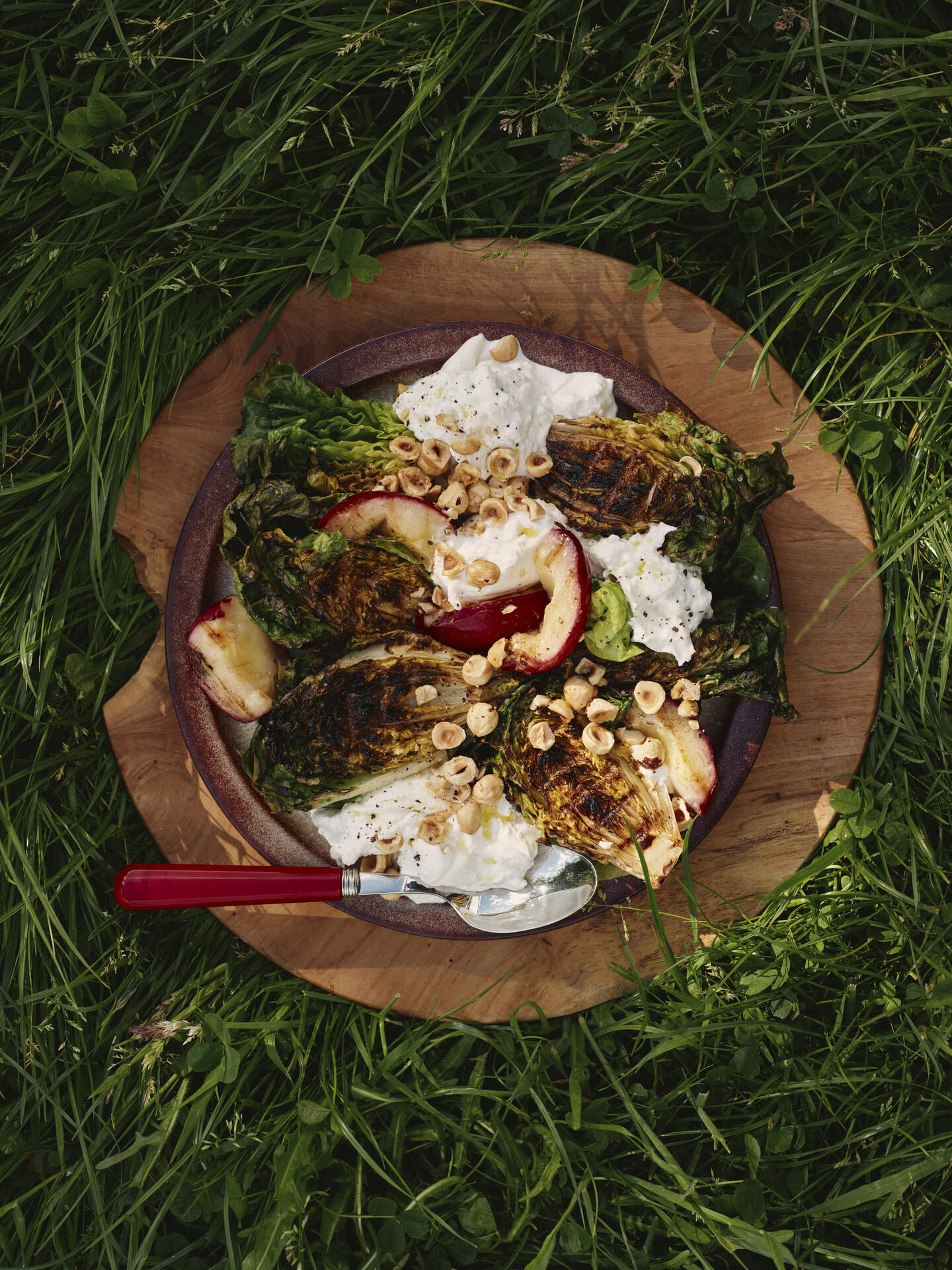 Geblakerde little gems met burrata en nectarinesalsa | De Standaard