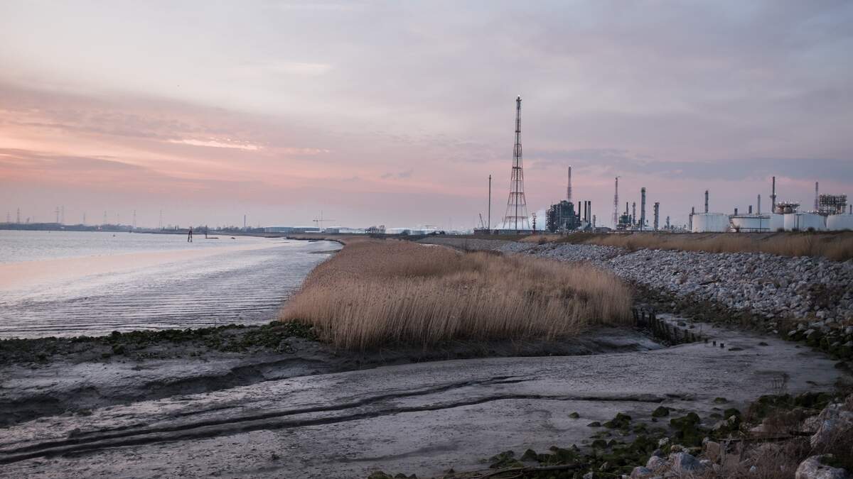 Dat kapitaal nog belangrijker is geworden dan arbeid, komt ook door ...