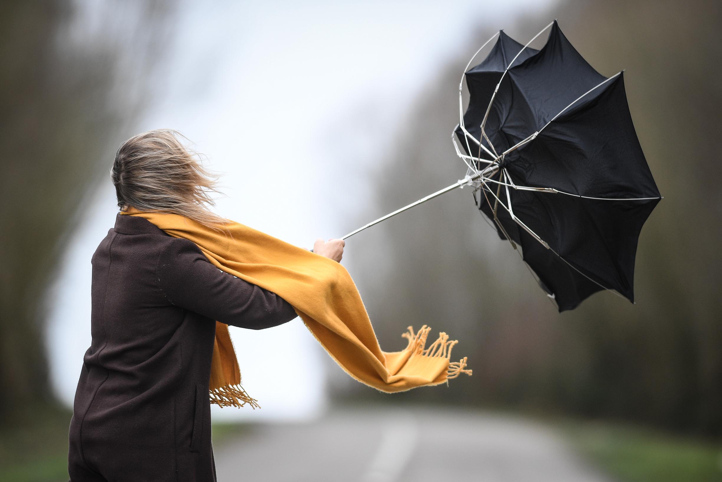 Winderige dag, donderslag niet uitgesloten | De Standaard