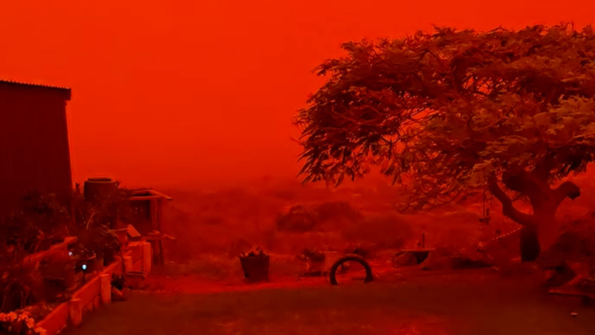 Lucht kleurt bloedrood in het Australische Shark Bay | De Standaard