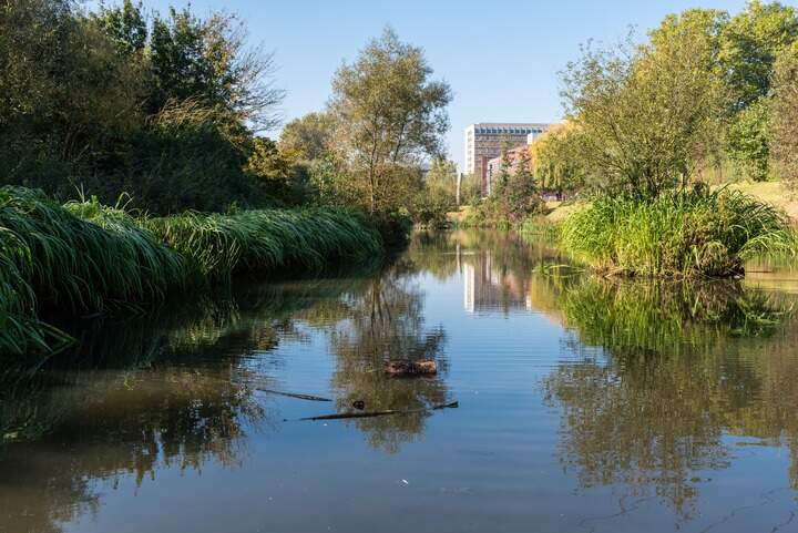 Brusselaars dwingen bouwstop af om natuur te vrijwaren, Brussel bouwt ...
