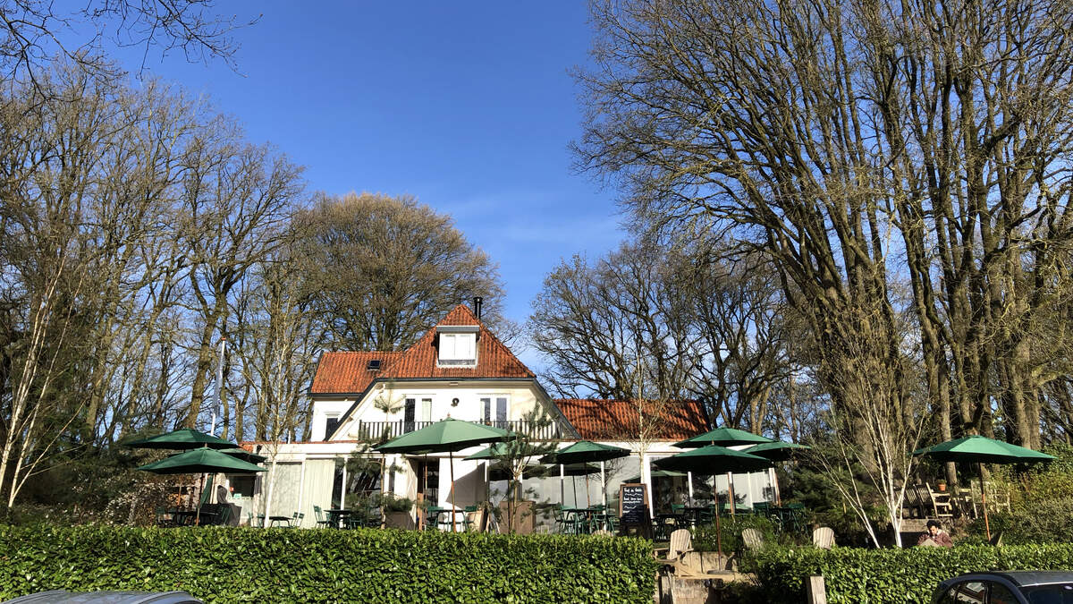De Wever Lodge in Otterlo: slapen in, aan of met uitzicht op de bossen ...