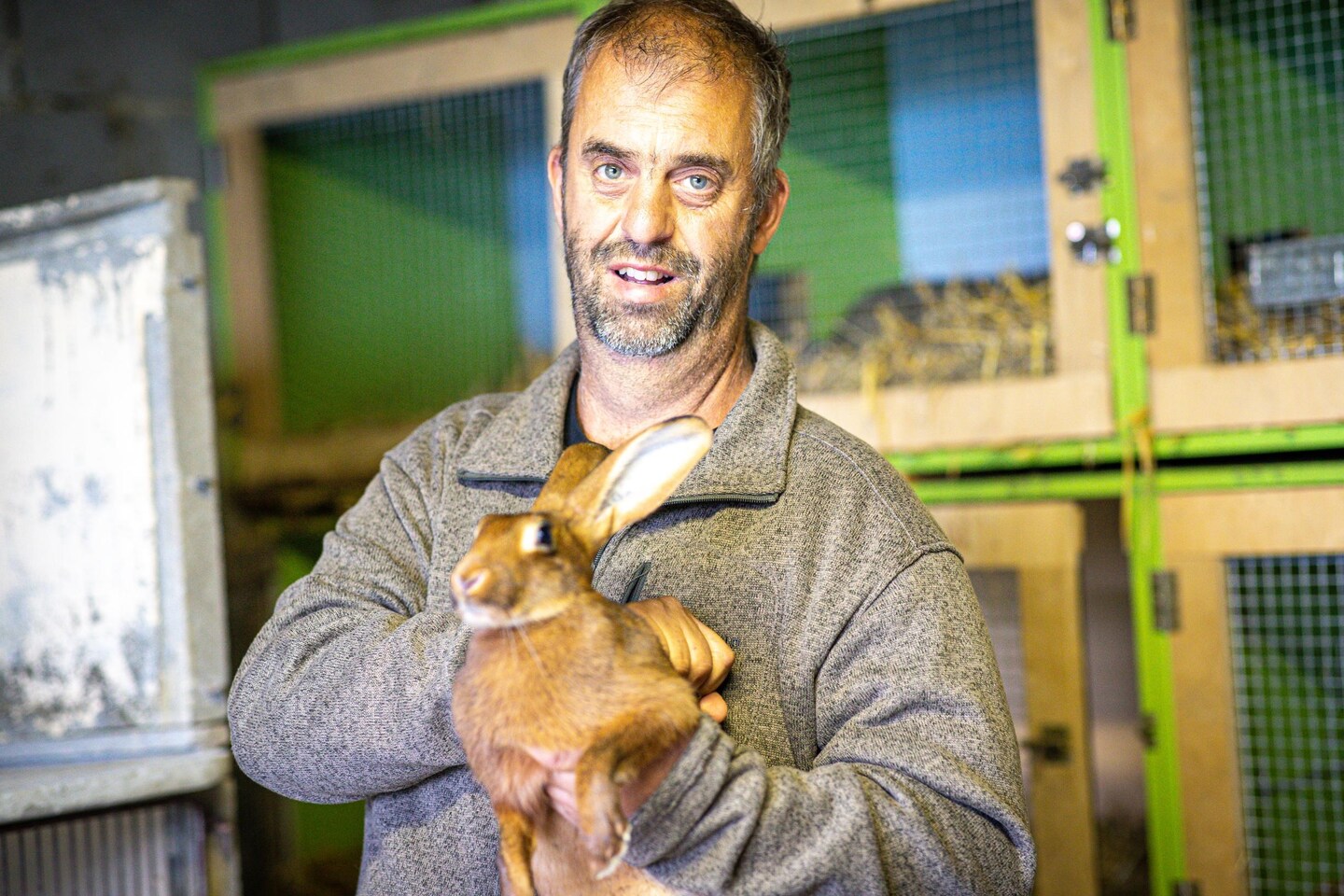 Een museum voor vergeten dierenrassen | De Standaard