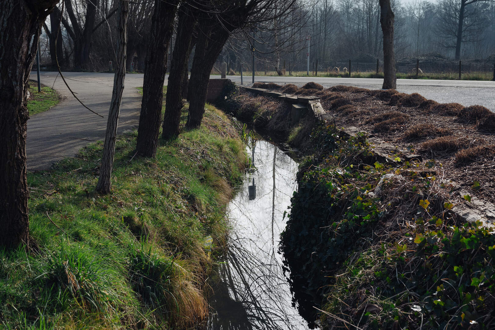 Dreigt er echt een vergunningenstop omwille van waterkwaliteit? “Als we ...