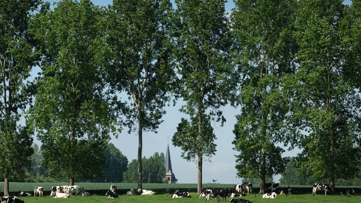 Op landbouwgrond moet je telen, niet speculeren | De Standaard
