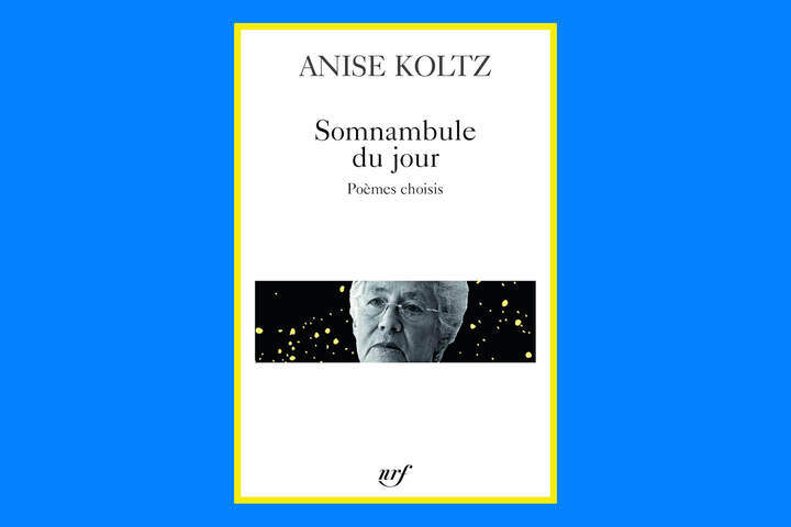 Welke boeken vatten de ziel van Luxemburg? “Omdat we zo klein zijn ...