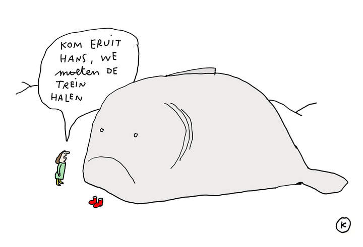 Kama | De Standaard