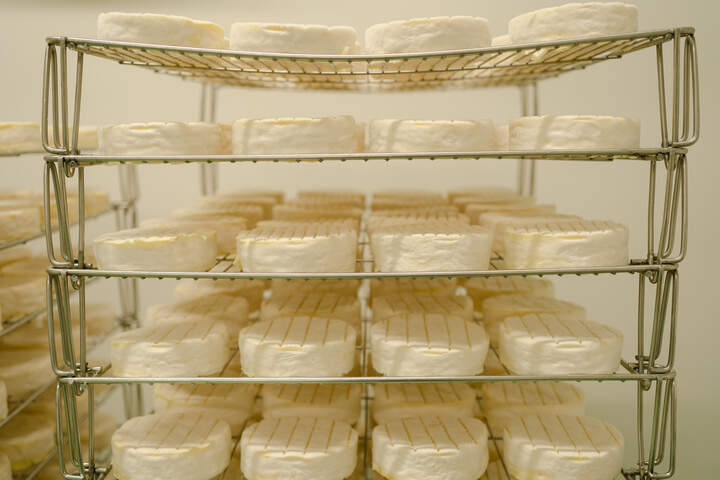 Er is amper nog echte camembert te vinden in Camembert | De Standaard