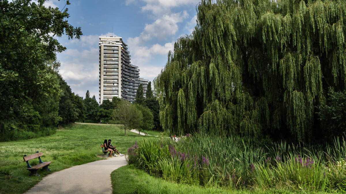 Brusselaars dwingen bouwstop af om natuur te vrijwaren, Brussel bouwt ...